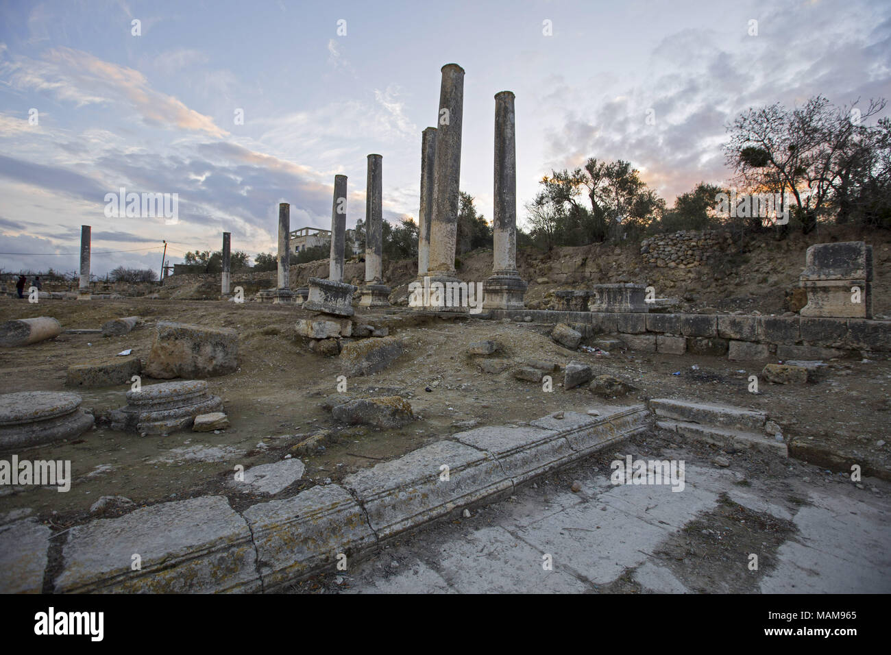 Ruins Of Samaria High Resolution Stock Photography and Images - Alamy