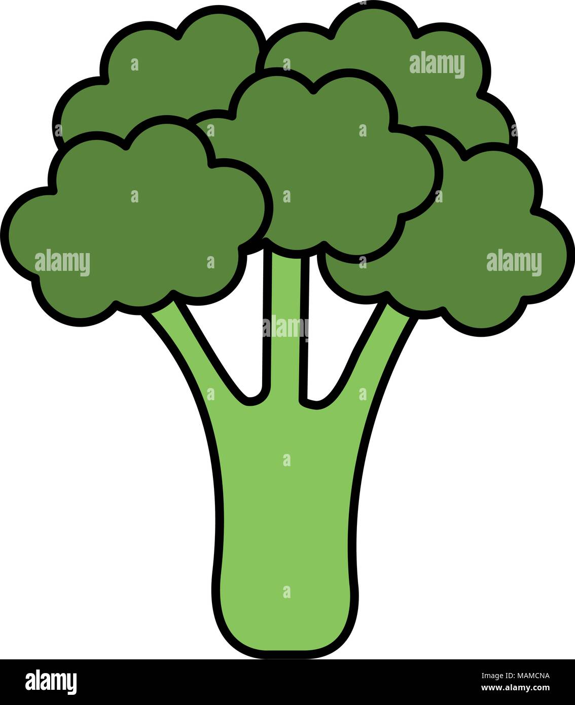 broccoli vegetable healthy food vector illustration design Stock Vector ...