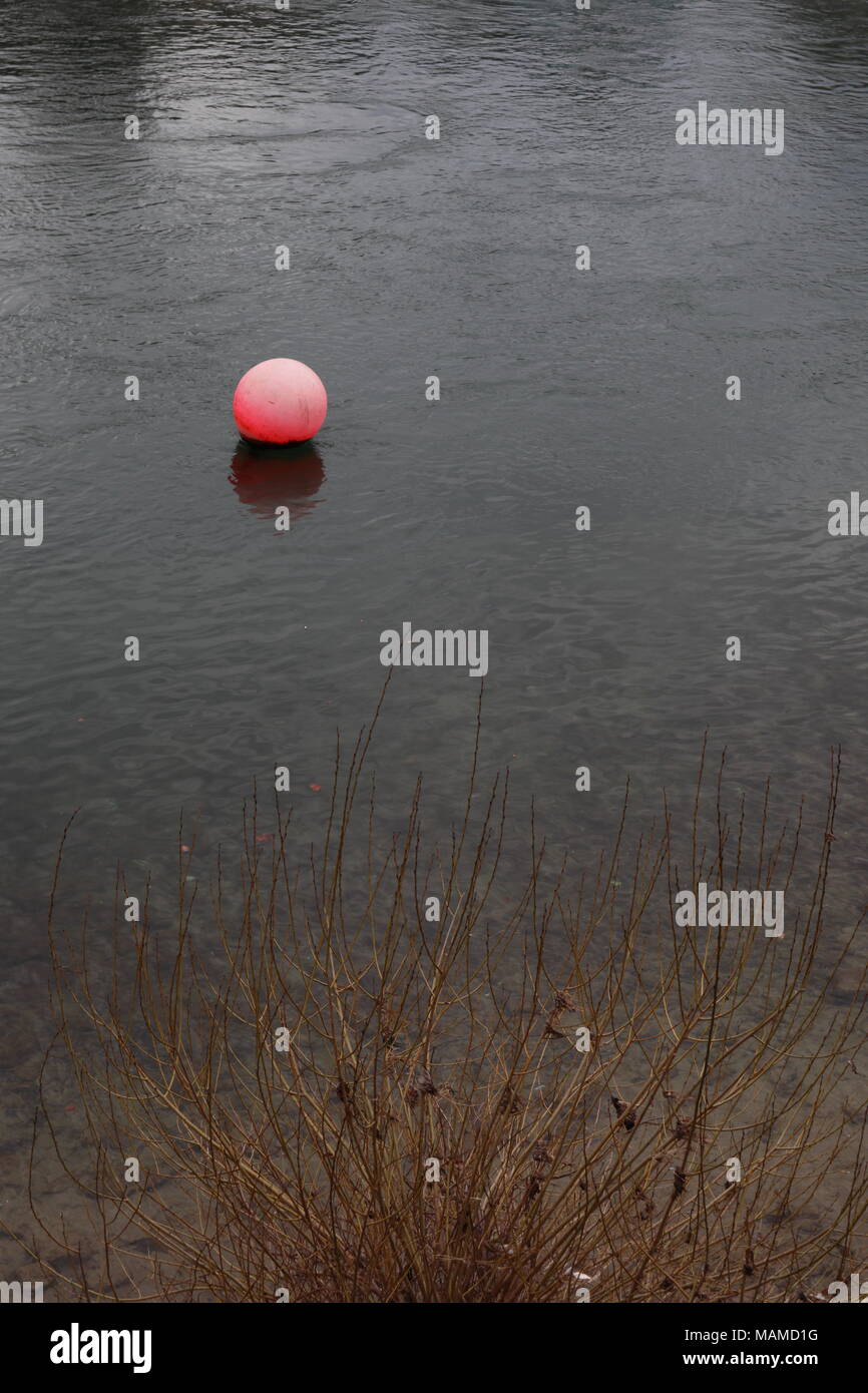 Pink buoy in the River Rhein Stock Photo - Alamy