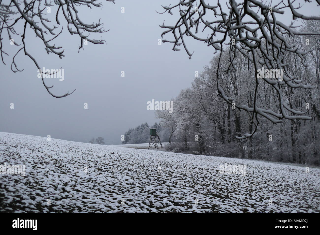 Hunting pulpit hi-res stock photography and images - Alamy