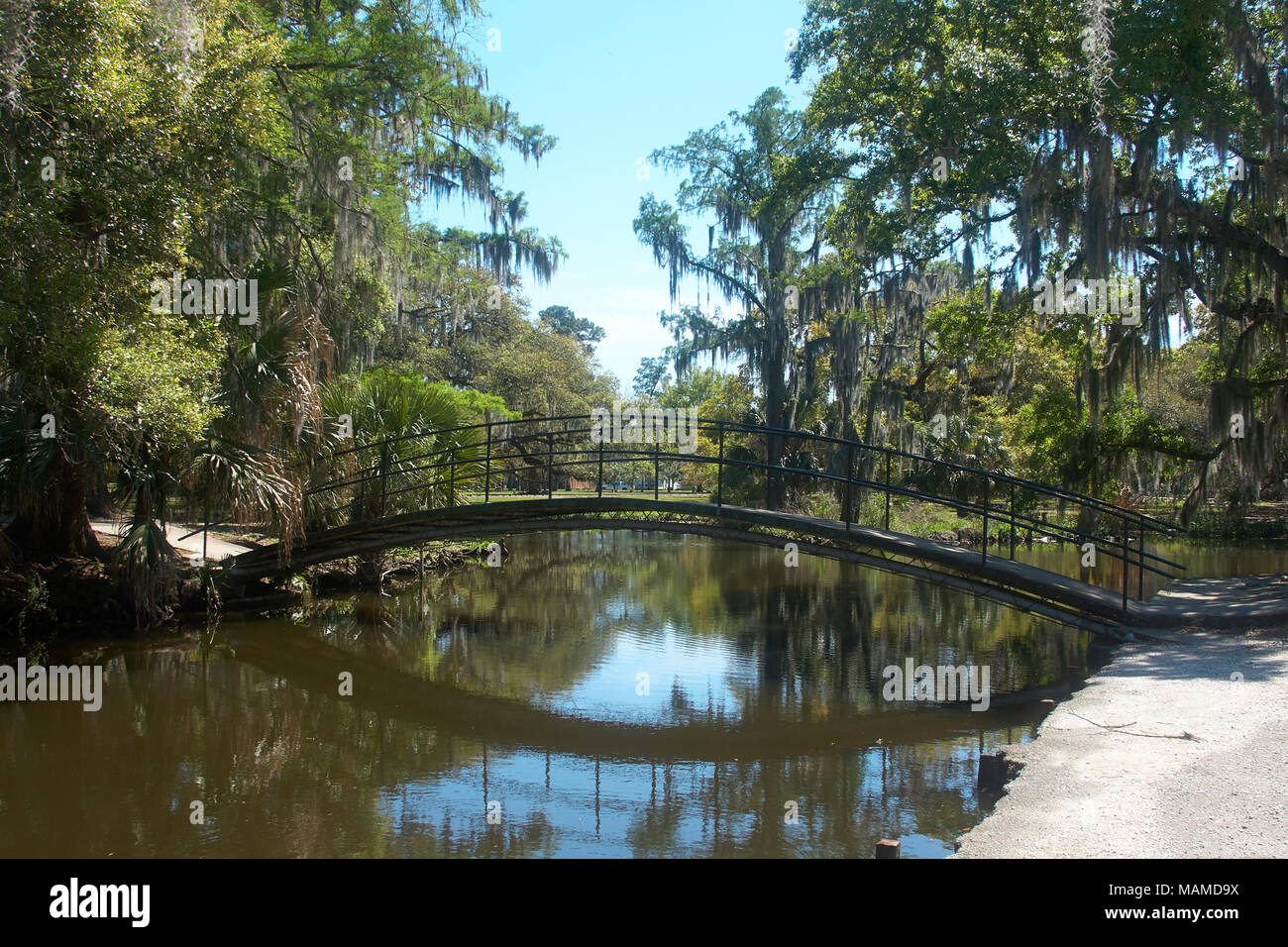Bridge at City Park, New Orleans, Louisiana Stock Photo - Alamy