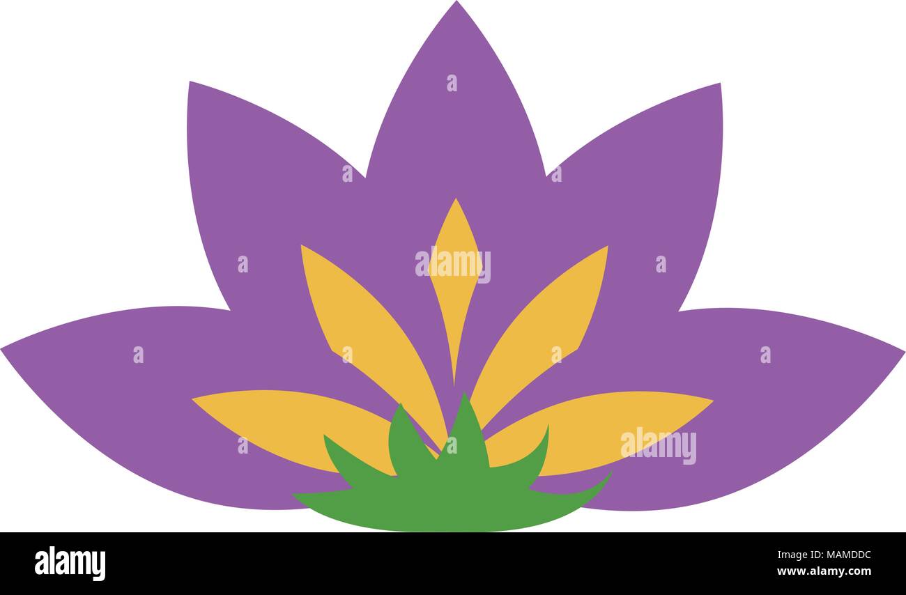 beautiful flower decorative icon Stock Vector Image & Art - Alamy