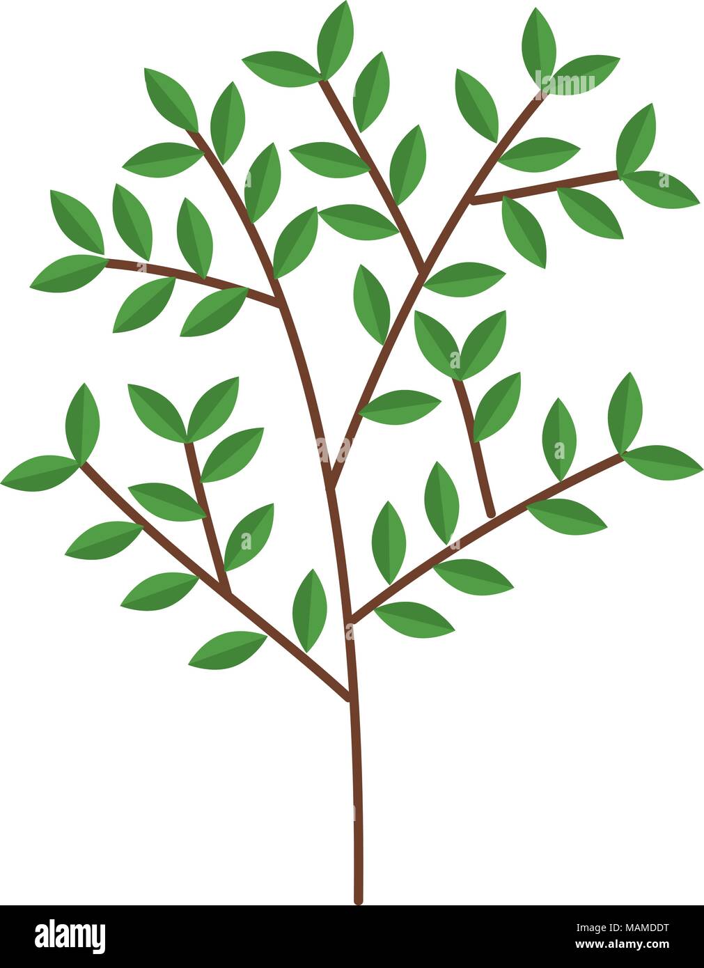 tree branch with leafs Stock Vector Image & Art - Alamy