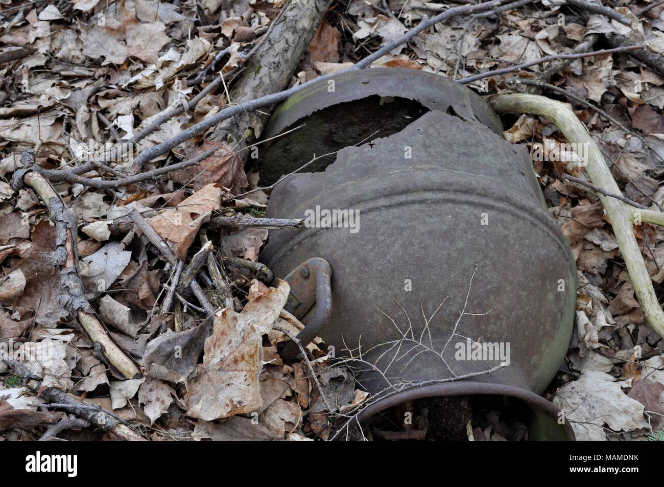 Forgotten age hi-res stock photography and images - Alamy