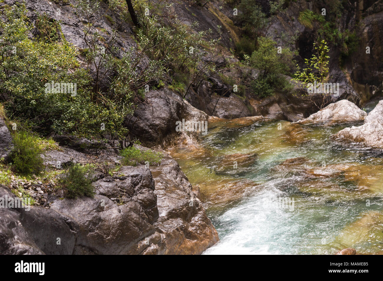 Landscape with beautiful mountain river. Horizontal composition Stock ...