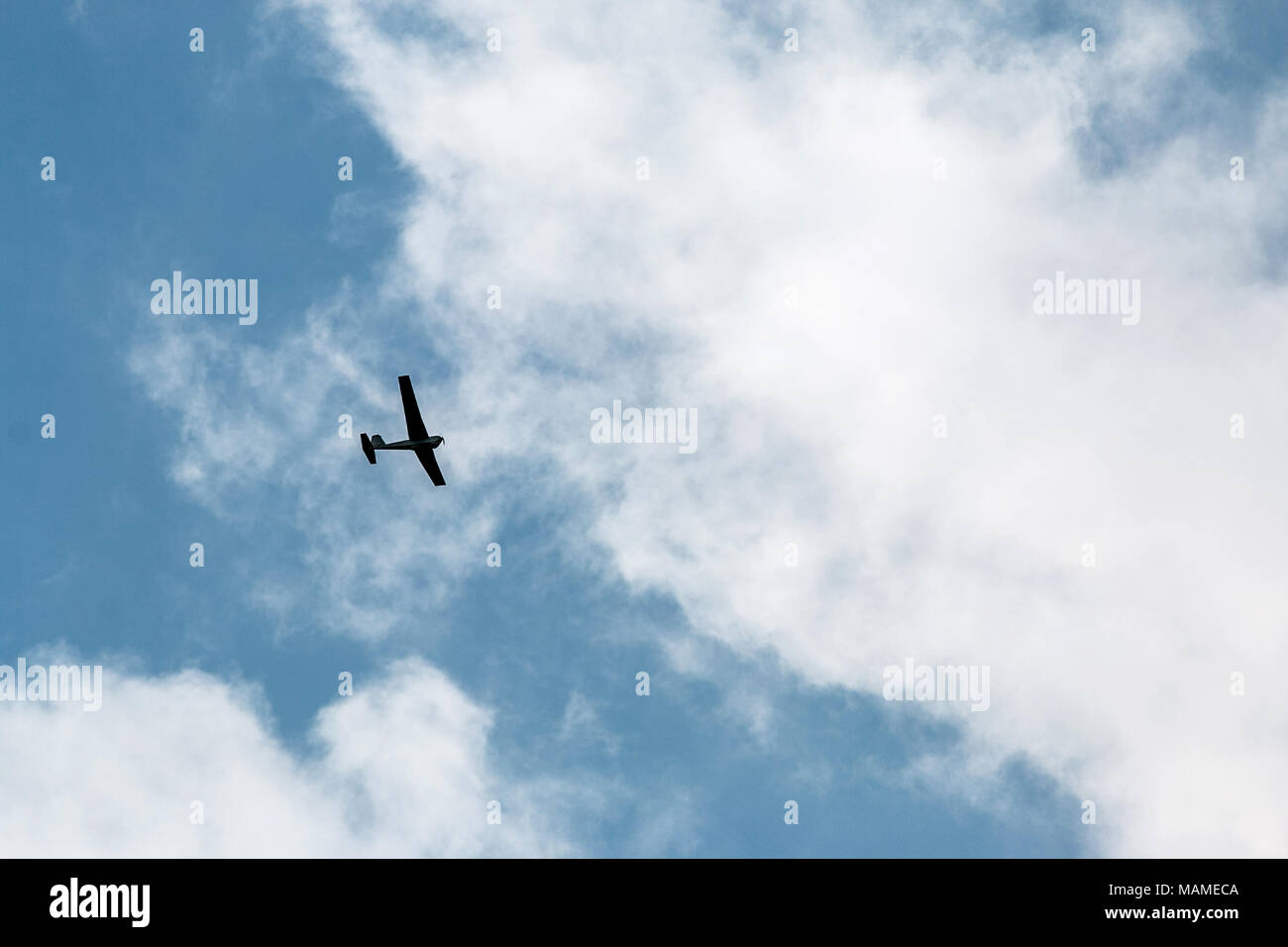 Puma system hi-res stock photography and images - Alamy