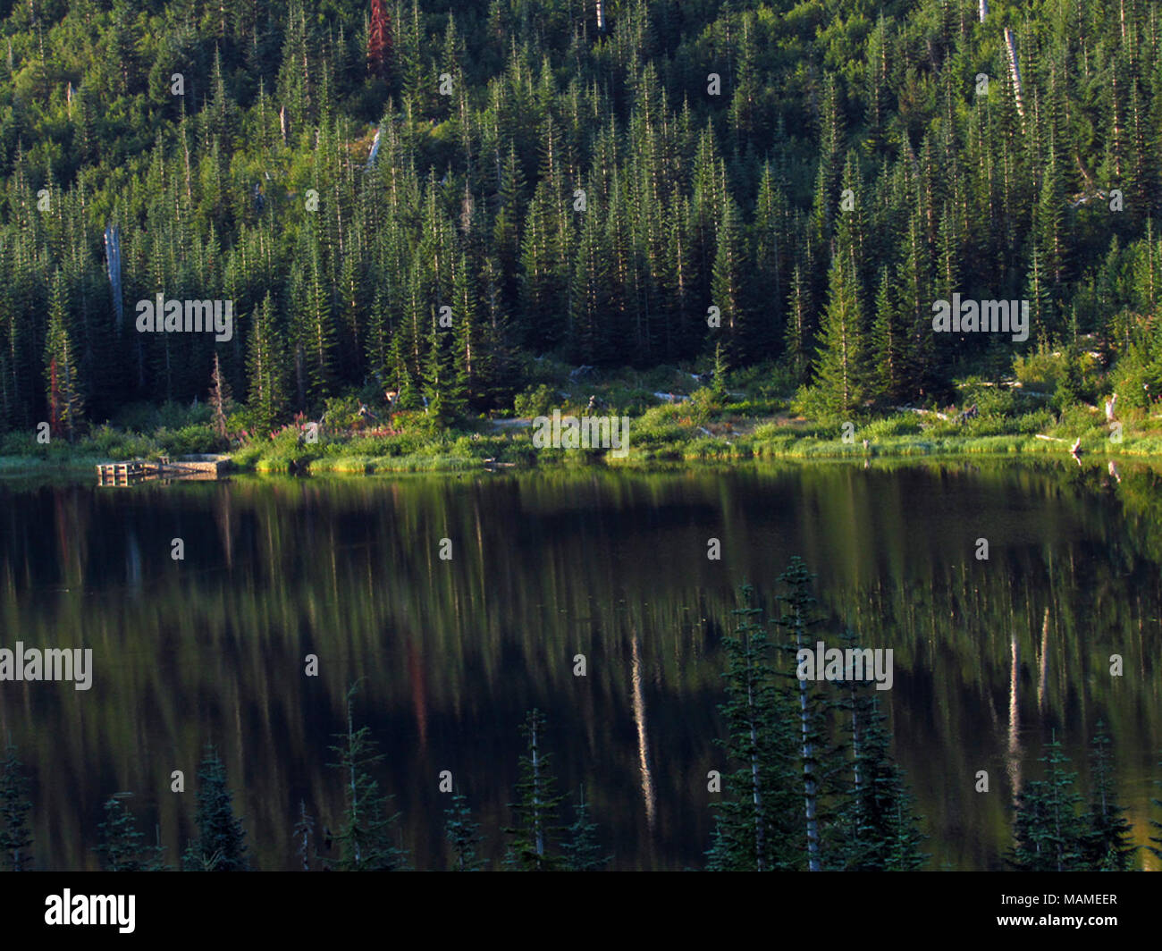 Mameer hi-res stock photography and images - Alamy