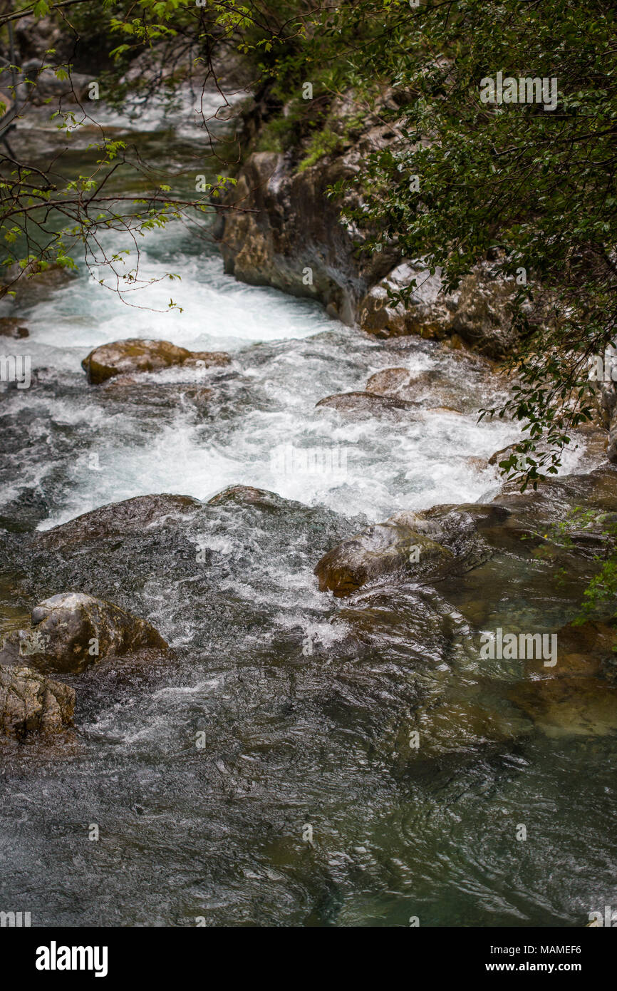 Landscape with a full flowing mountain river. Vertical composition ...