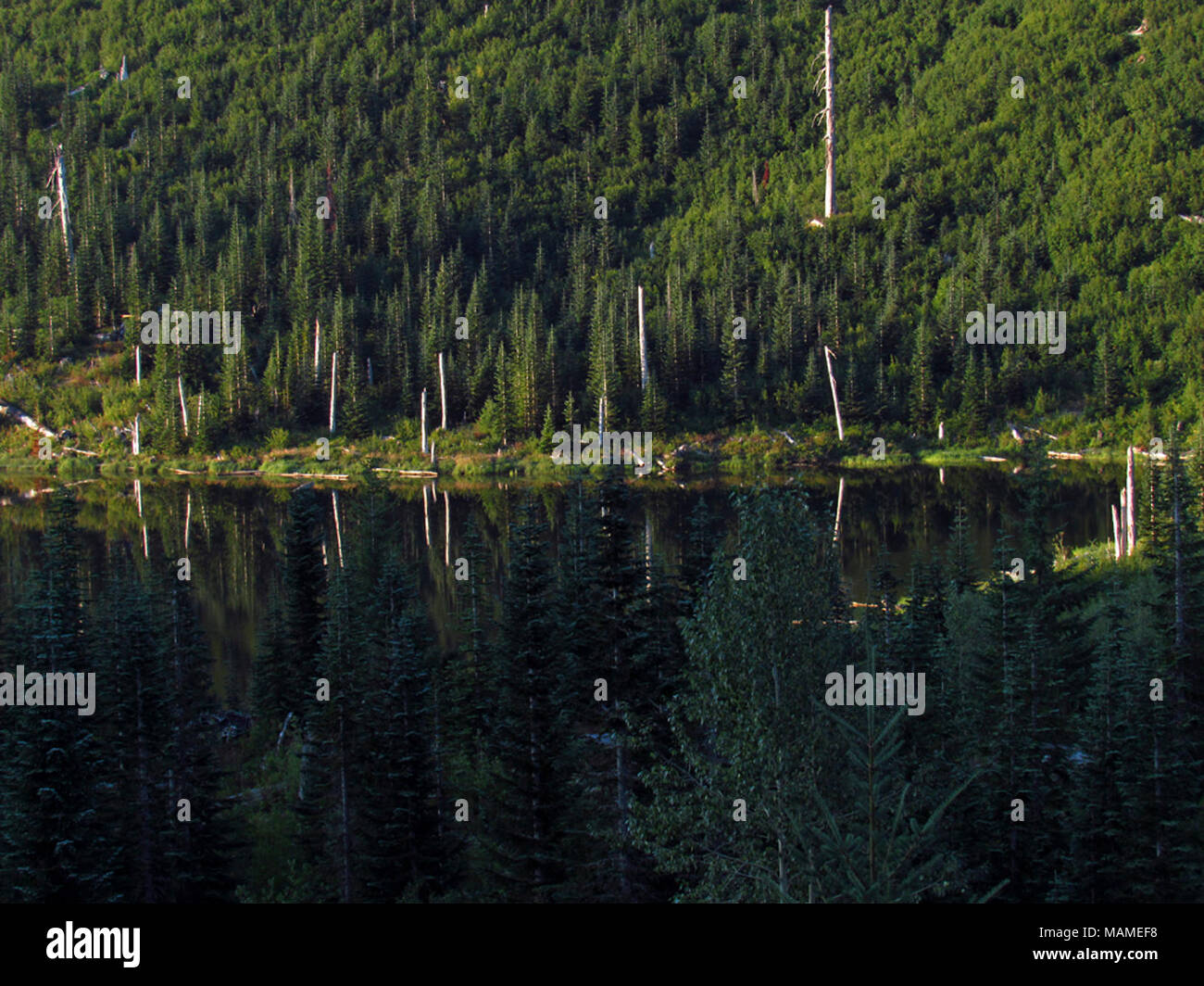 Meta Lake at Mt Margaret Backcountry in WA Stock Photo - Alamy