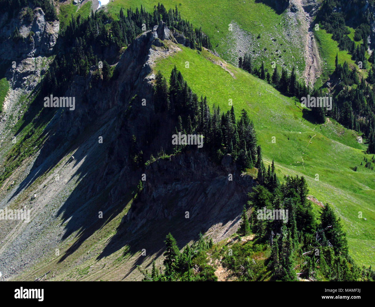 Tatoosh Peak Trail in WA Stock Photo - Alamy
