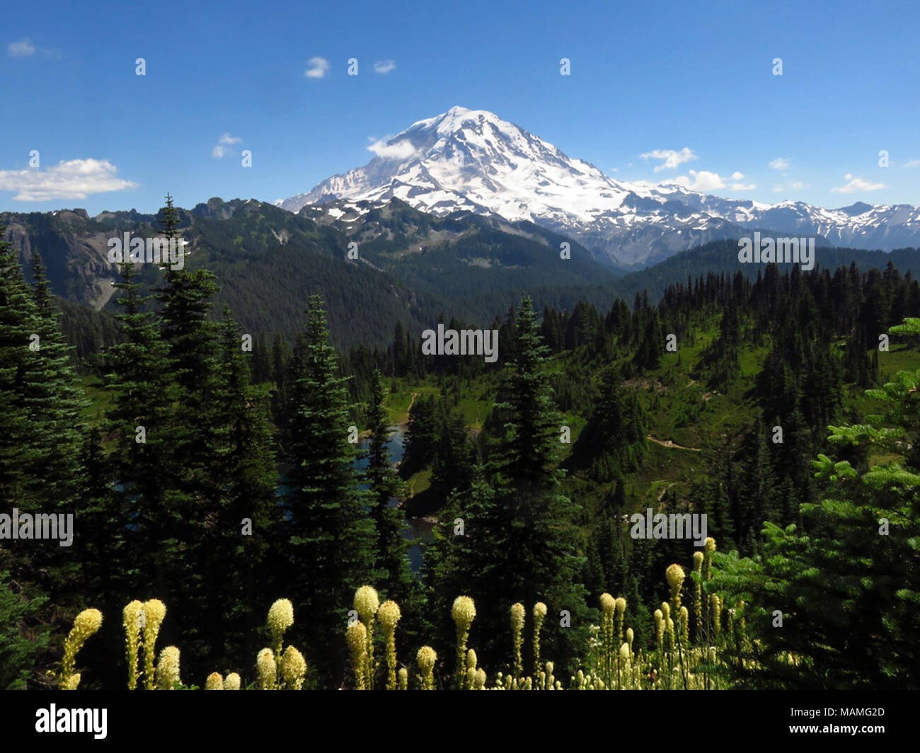 Tolmie Peak Trail at Mt Rainier NP in WA Stock Photo - Alamy