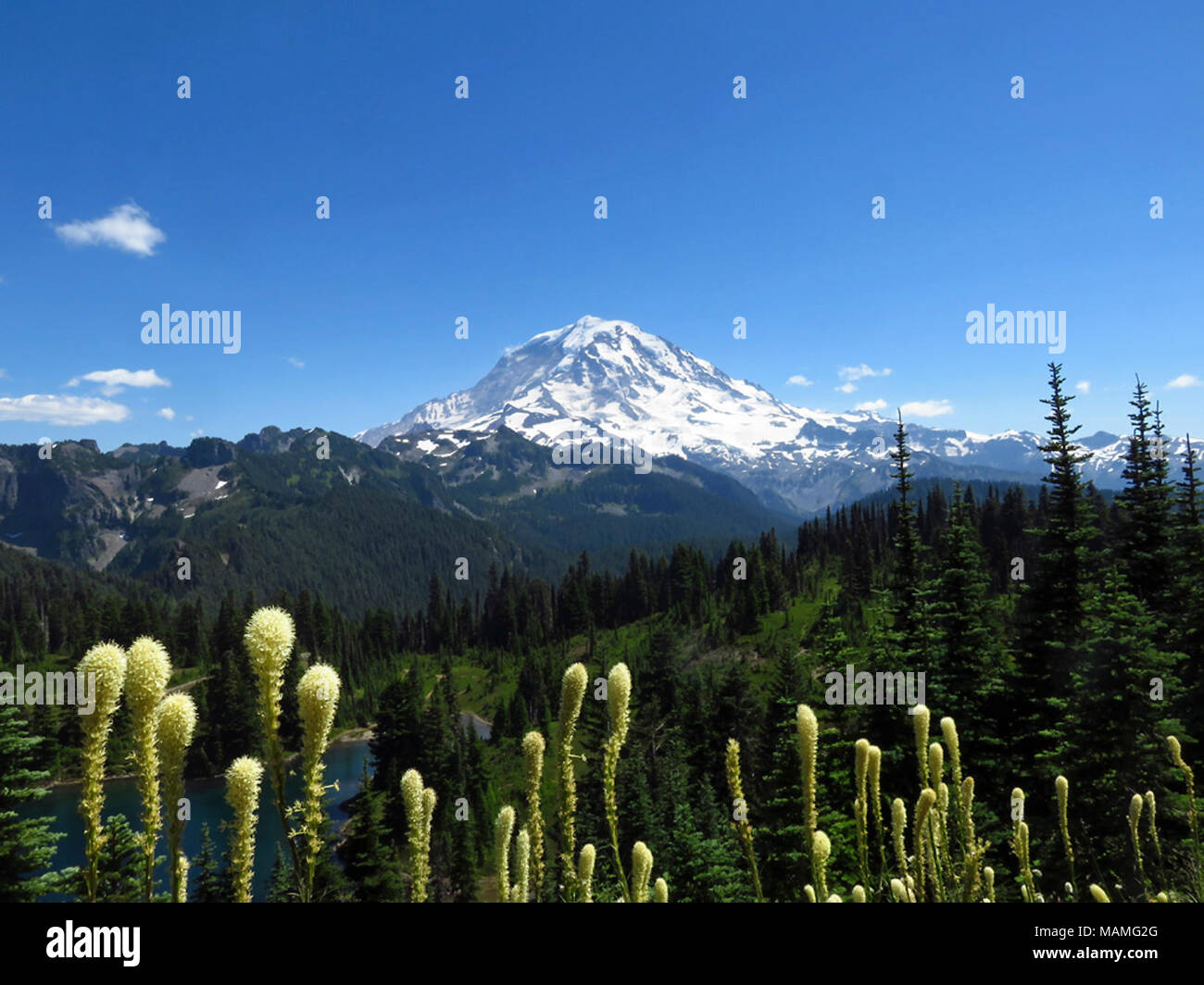 Tolmie Peak Trail at Mt Rainier NP in WA Stock Photo - Alamy