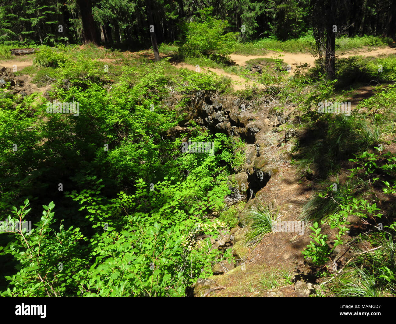 Adams bridge national park hi-res stock photography and images - Alamy