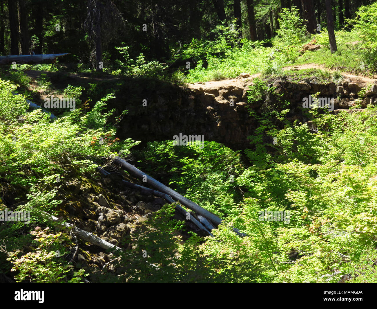 Natural Bridge at Mt Adams Wilderness in WA Stock Photo - Alamy