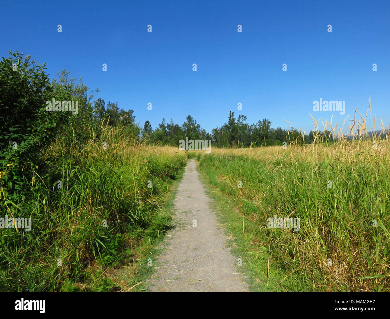 Steigerwald wildlife refuge hi-res stock photography and images - Alamy