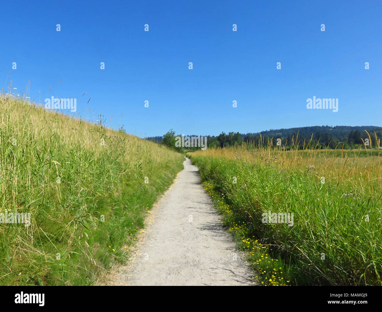 Steigerwald Lake NWR in WA Stock Photo - Alamy