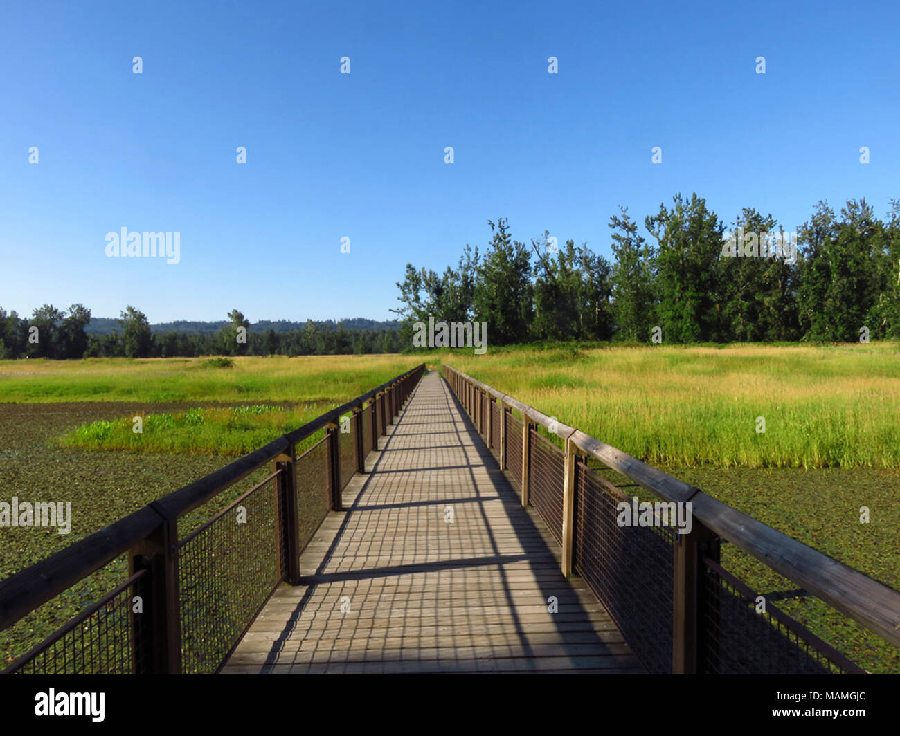 Steigerwald Lake NWR in WA Stock Photo - Alamy