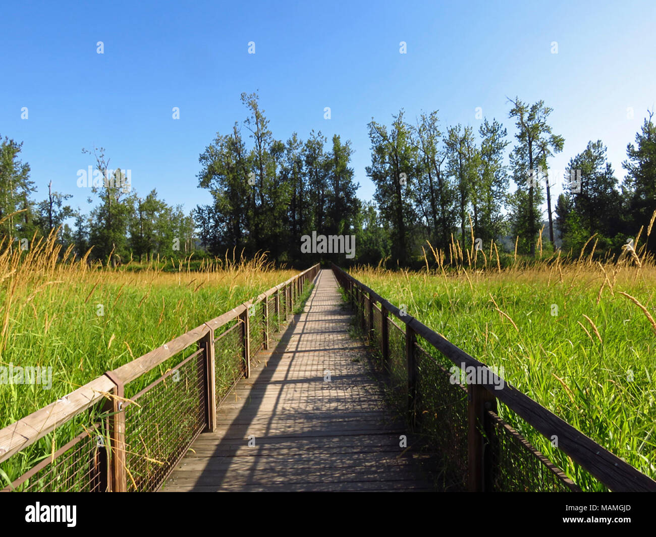 Steigerwald wildlife refuge hi-res stock photography and images - Alamy