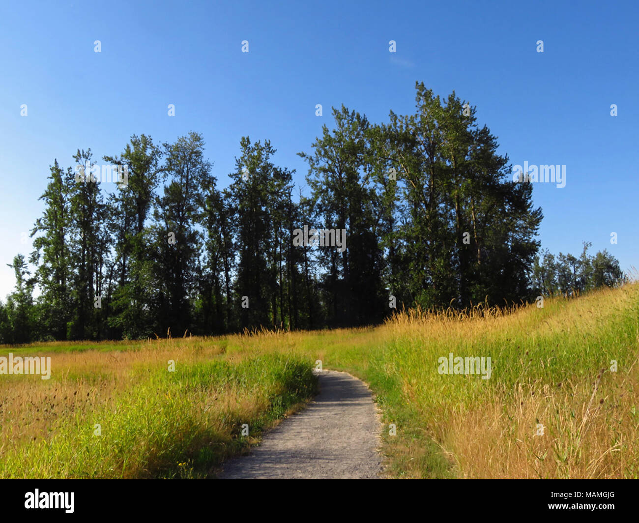 Steigerwald Lake NWR in WA Stock Photo - Alamy