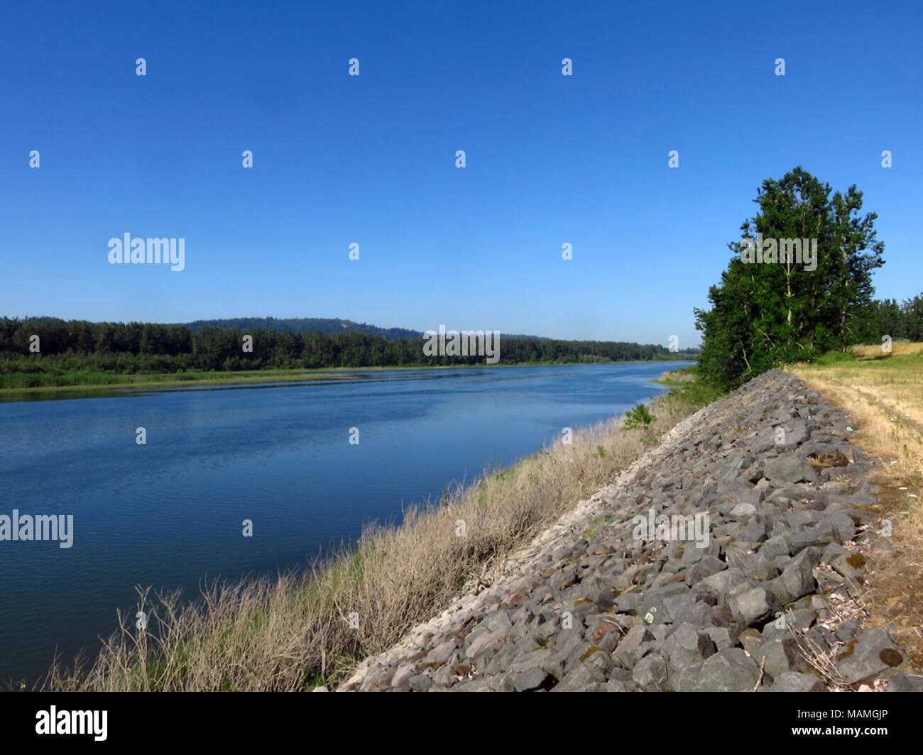 Columbia River at Steigerwald Lake NWR in WA Stock Photo - Alamy