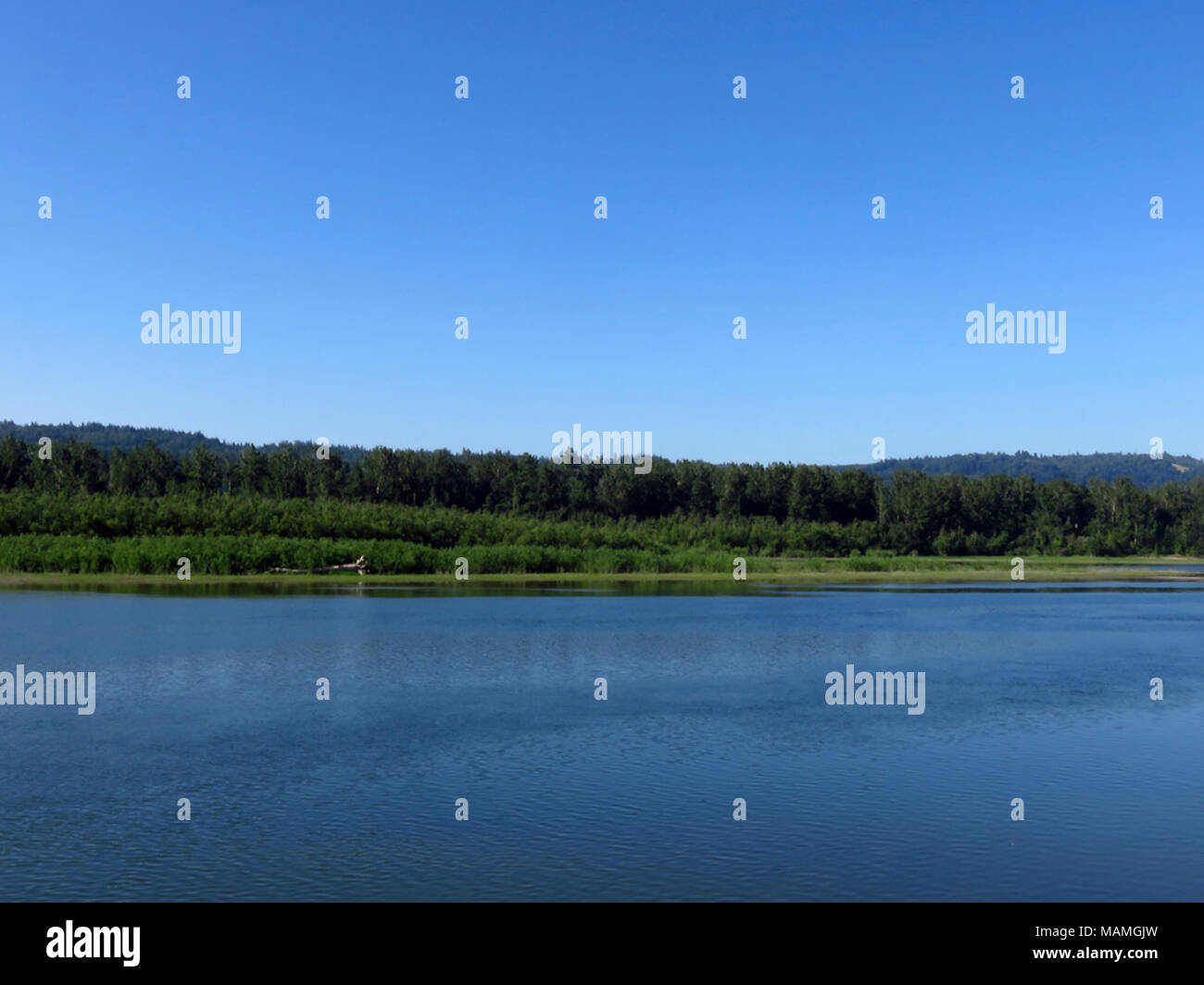Steigerwald wildlife refuge hi-res stock photography and images - Alamy