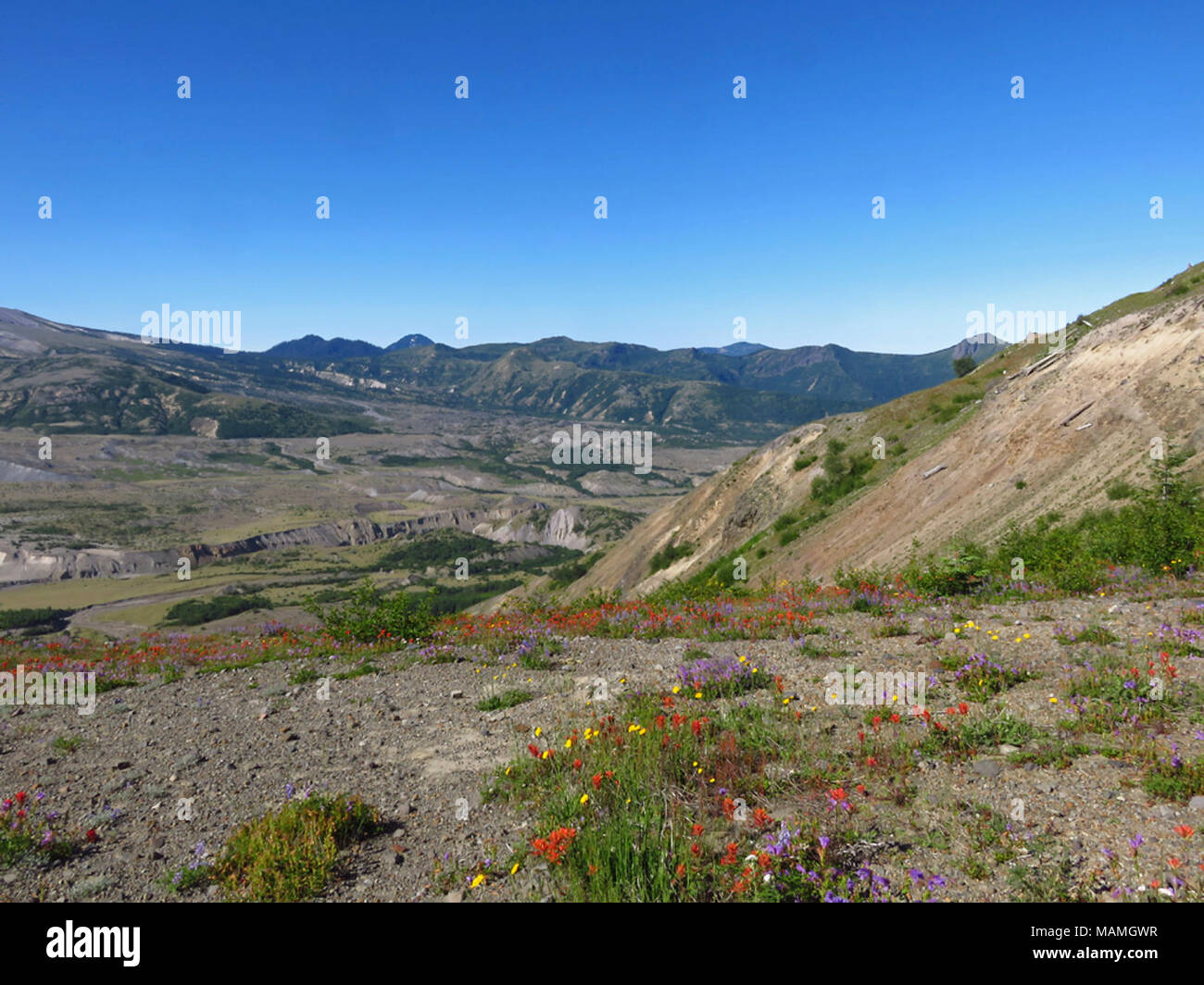 Loowit Falls Hike at Mt St Helens NM in Washington Stock Photo - Alamy