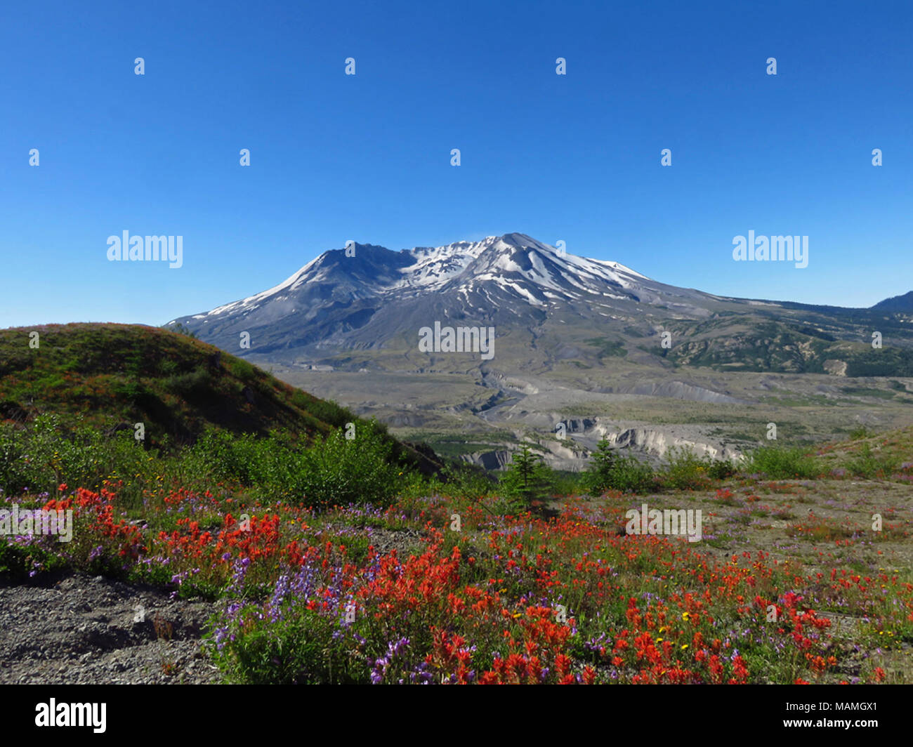 Loowit Falls Hike at Mt St Helens NM in Washington Stock Photo - Alamy