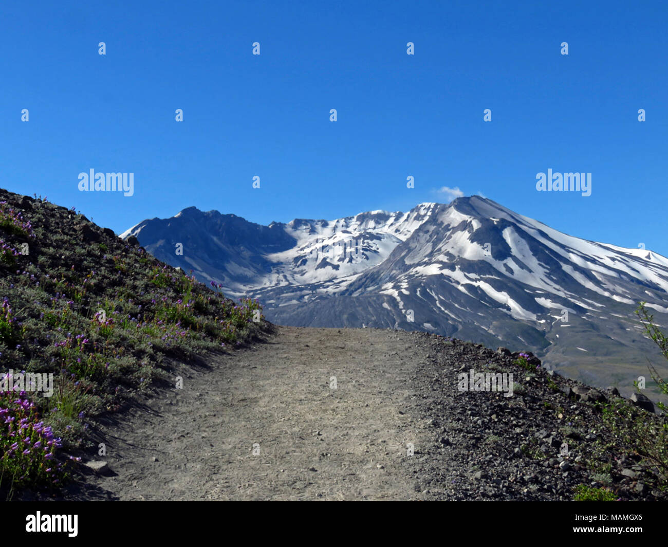 Loowit Falls Hike at Mt St Helens NM in Washington Stock Photo - Alamy