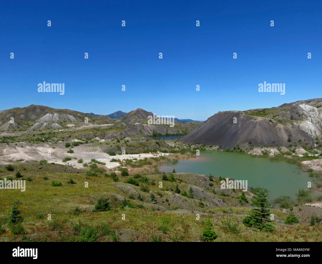 Loowit Falls Hike at Mt St Helens NM in Washington Stock Photo - Alamy