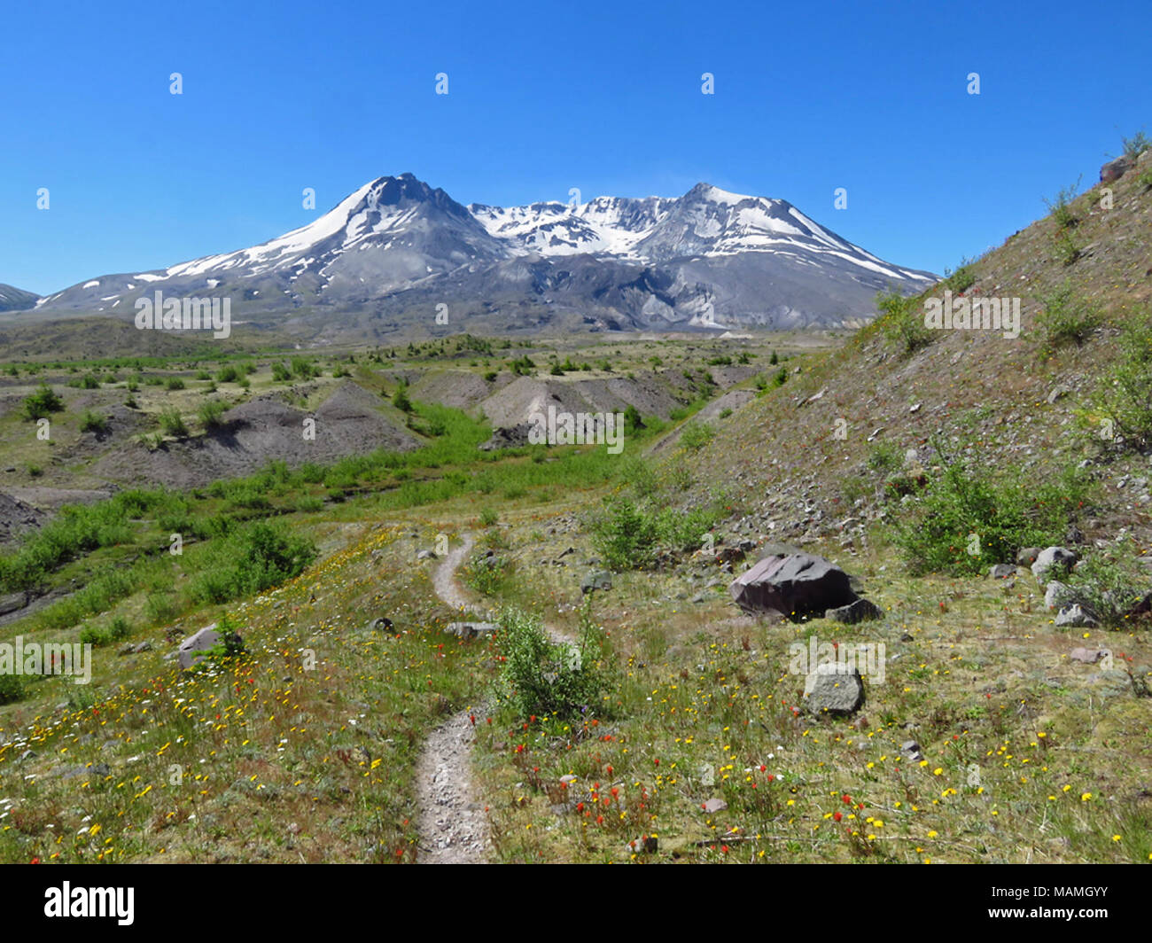 Loowit Falls Hike at Mt St Helens NM in Washington Stock Photo - Alamy