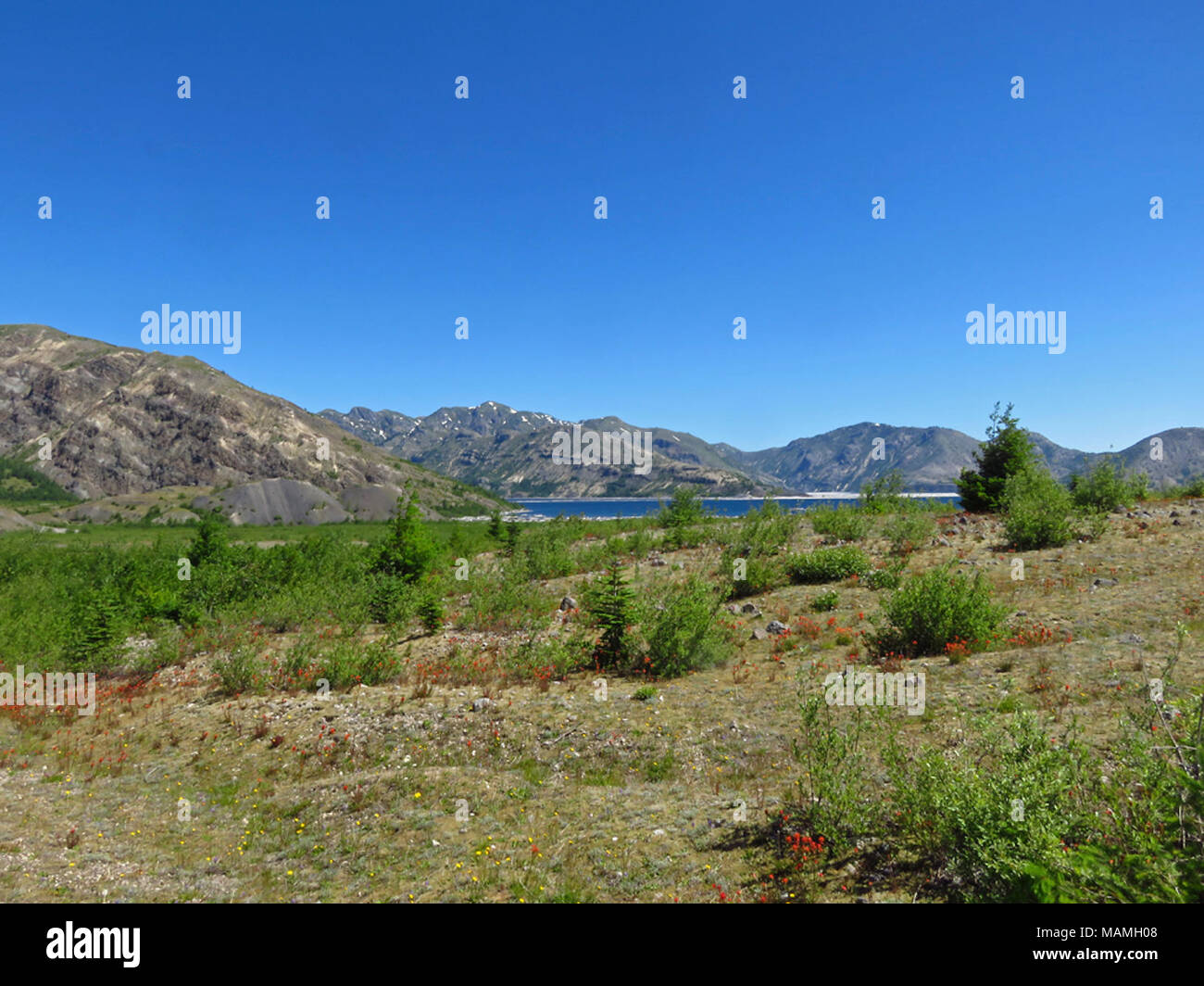 Loowit Falls Hike at Mt St Helens NM in Washington Stock Photo - Alamy