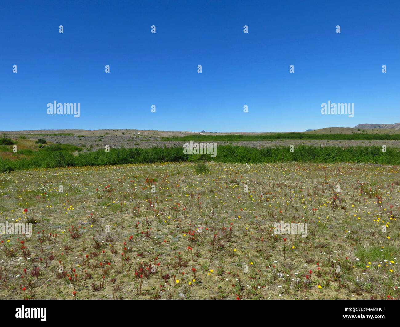 Loowit Falls Hike at Mt St Helens NM in Washington Stock Photo - Alamy