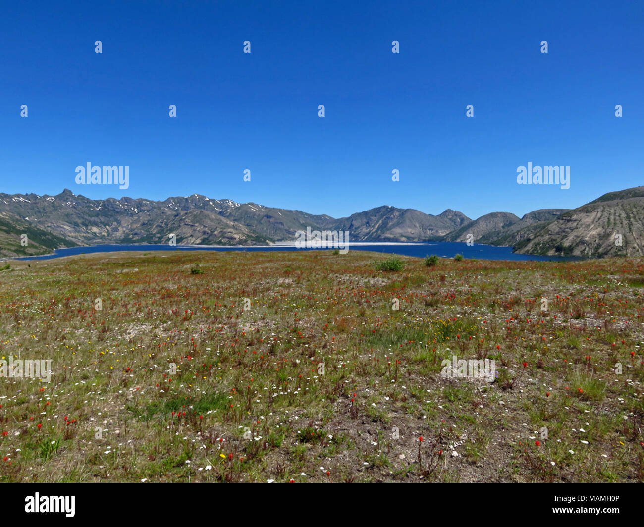 Loowit Falls Hike at Mt St Helens NM in Washington Stock Photo - Alamy
