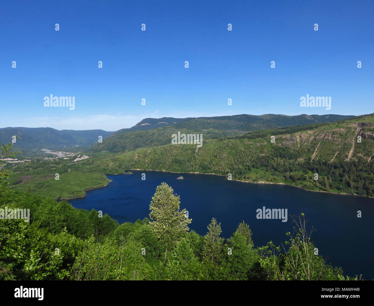 Coldwater Lake Trail at Mt St Helens NM in Washington Stock Photo - Alamy