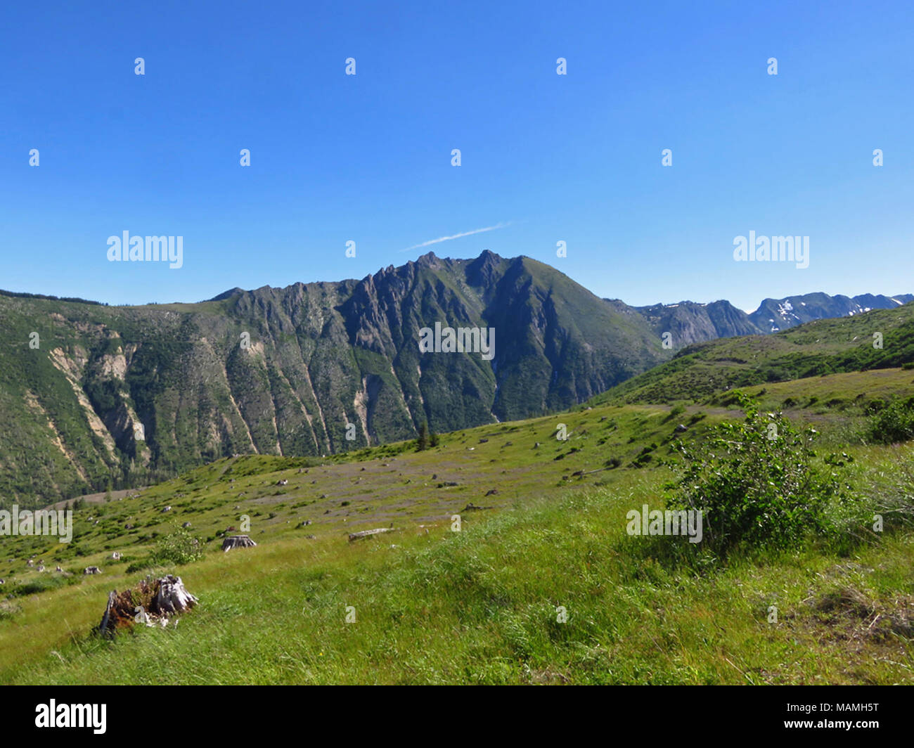 Coldwater Lake Trail at Mt St Helens NM in Washington Stock Photo - Alamy