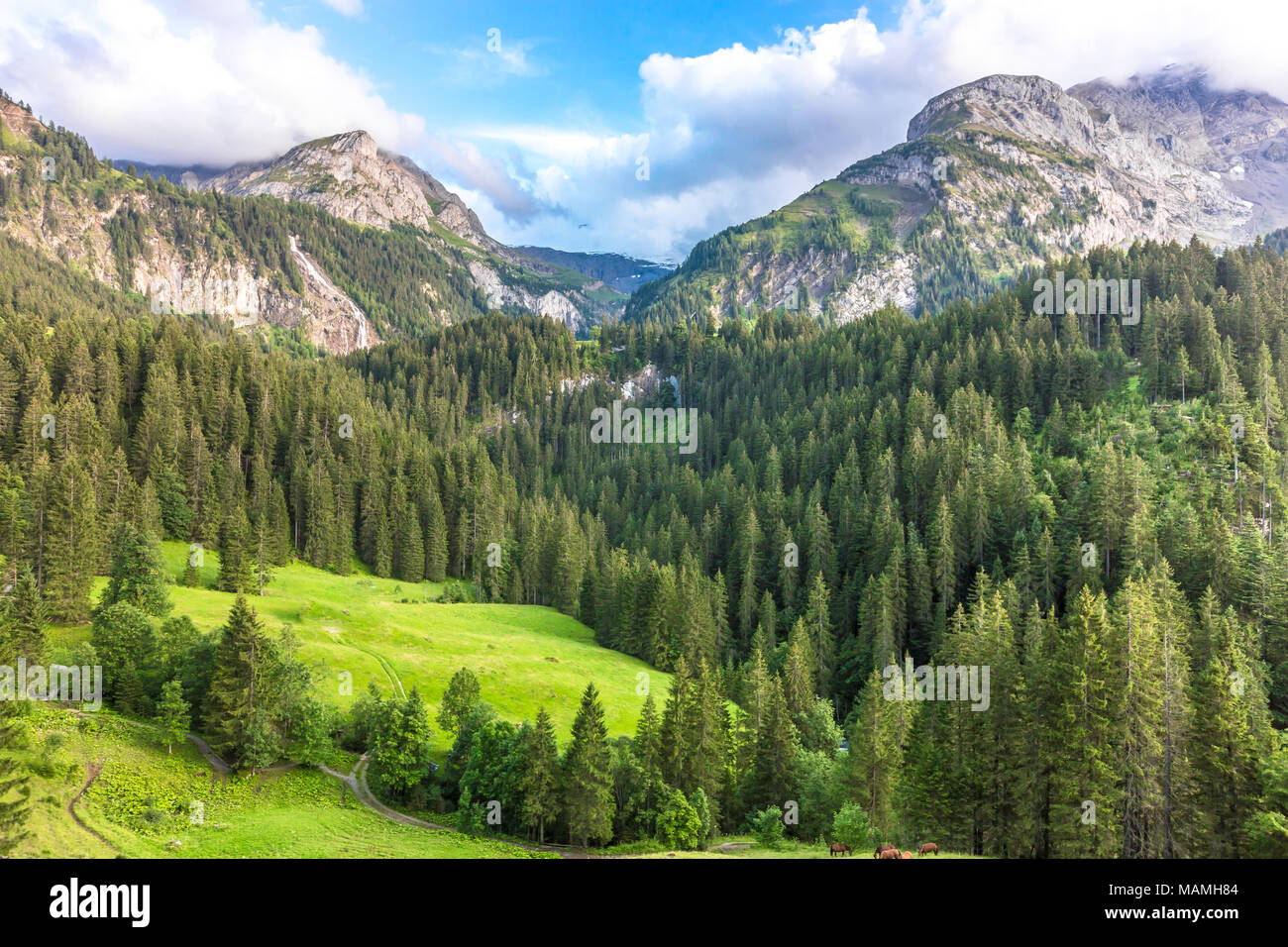 Mountain landscape near Gstaad, Switzerland Stock Photo - Alamy