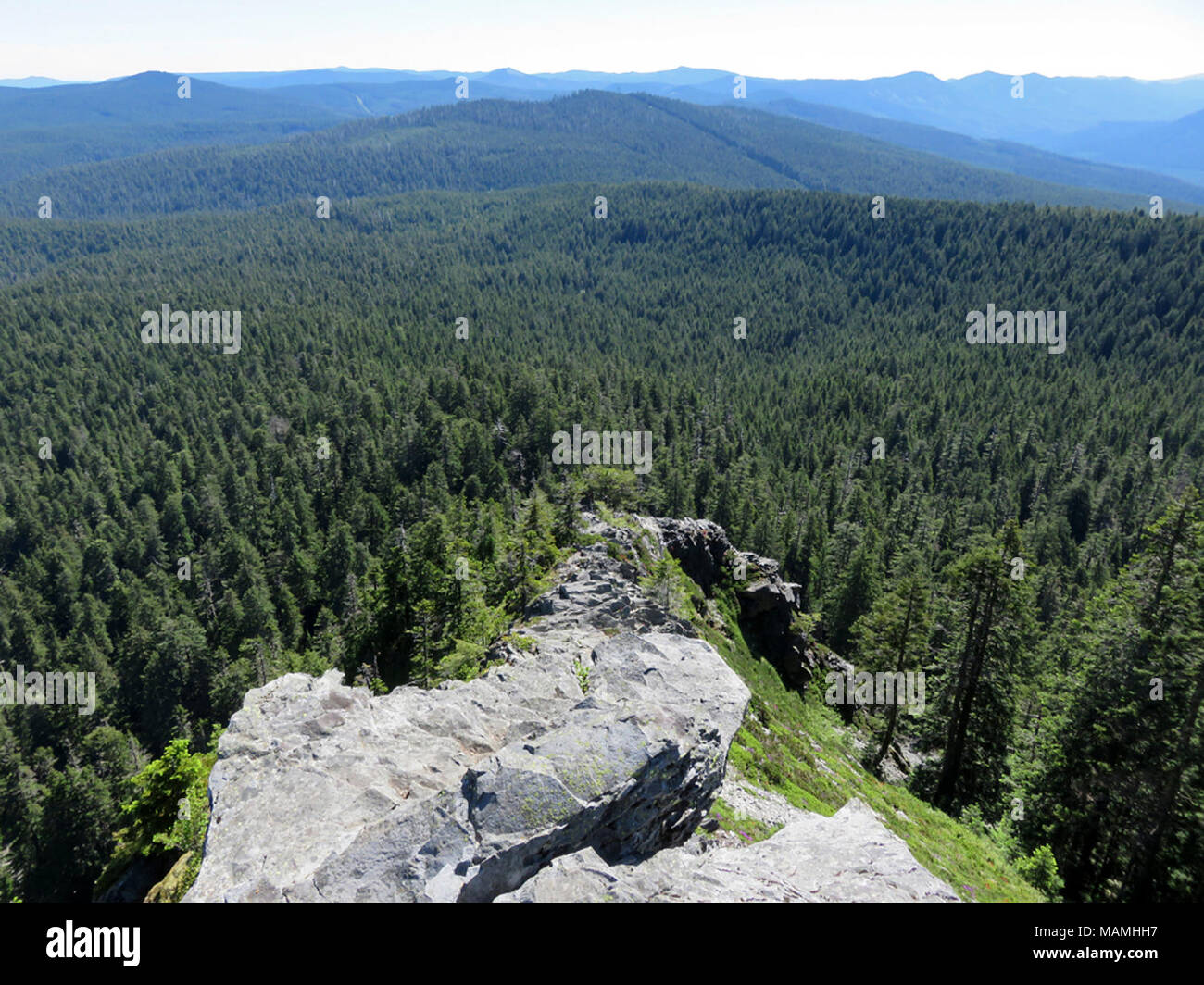 Larch Mountain Oregon