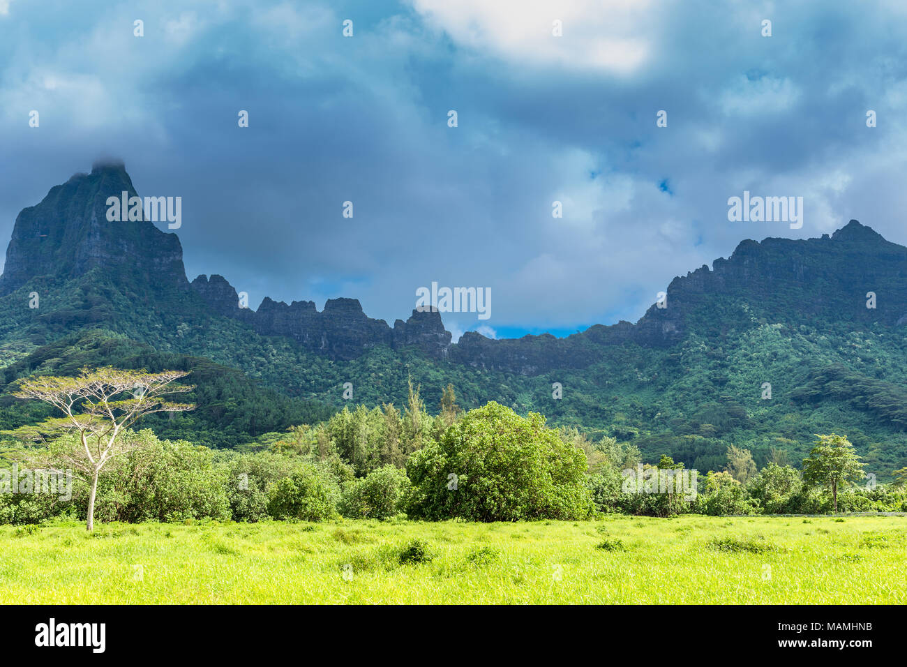 Moorea Island in the French Polynesia Stock Photo - Alamy