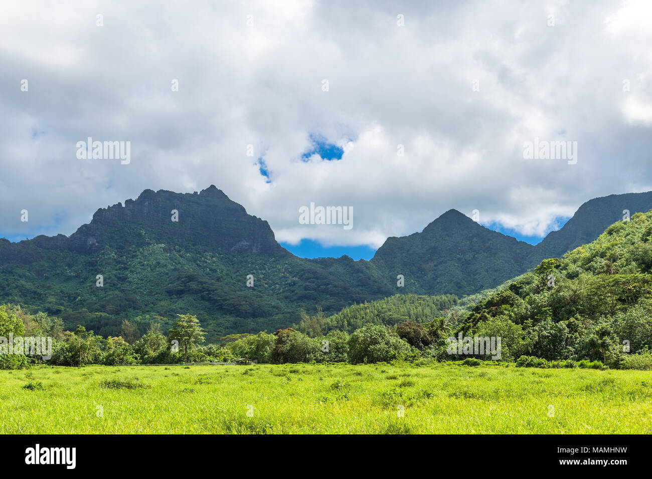 Moorea Island in the French Polynesia Stock Photo - Alamy