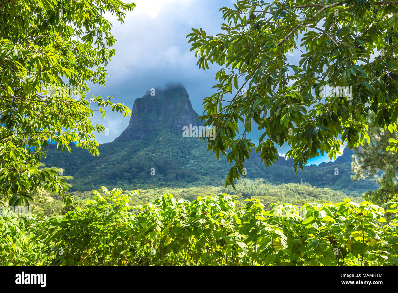 Moorea Island in the French Polynesia Stock Photo - Alamy