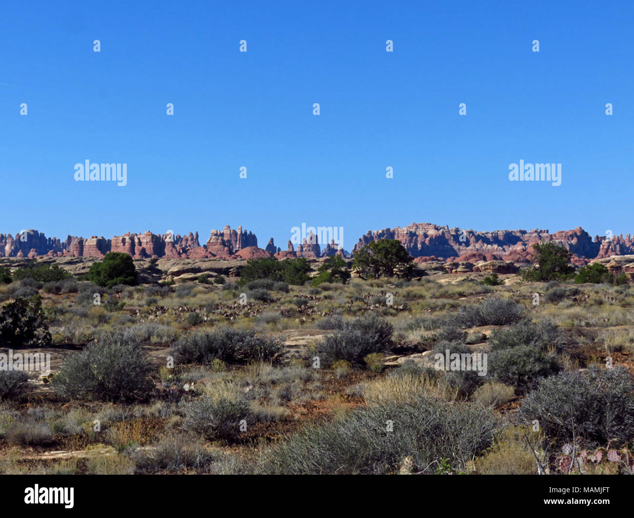 Needles District at Canyonlands NP in Utah Stock Photo - Alamy