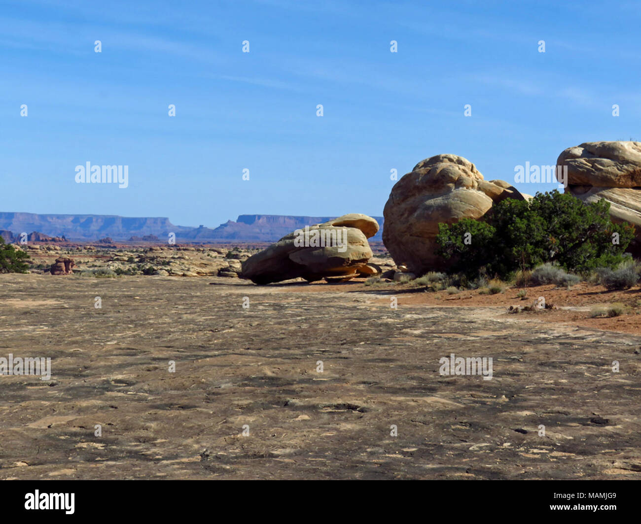 Needles District at Canyonlands NP in Utah Stock Photo - Alamy