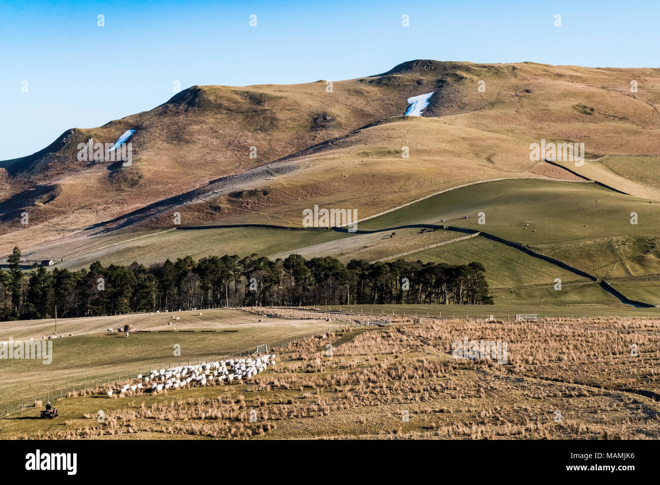 Scottish Farm Scene High Resolution Stock Photography and Images - Alamy