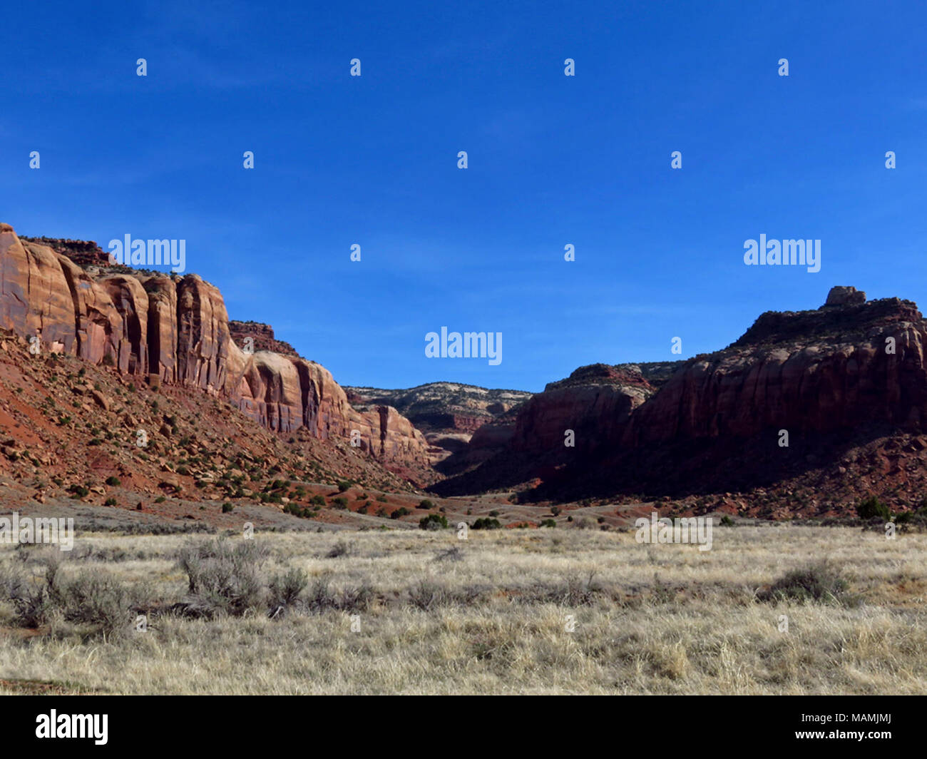 Needles District at Canyonlands NP in Utah Stock Photo - Alamy