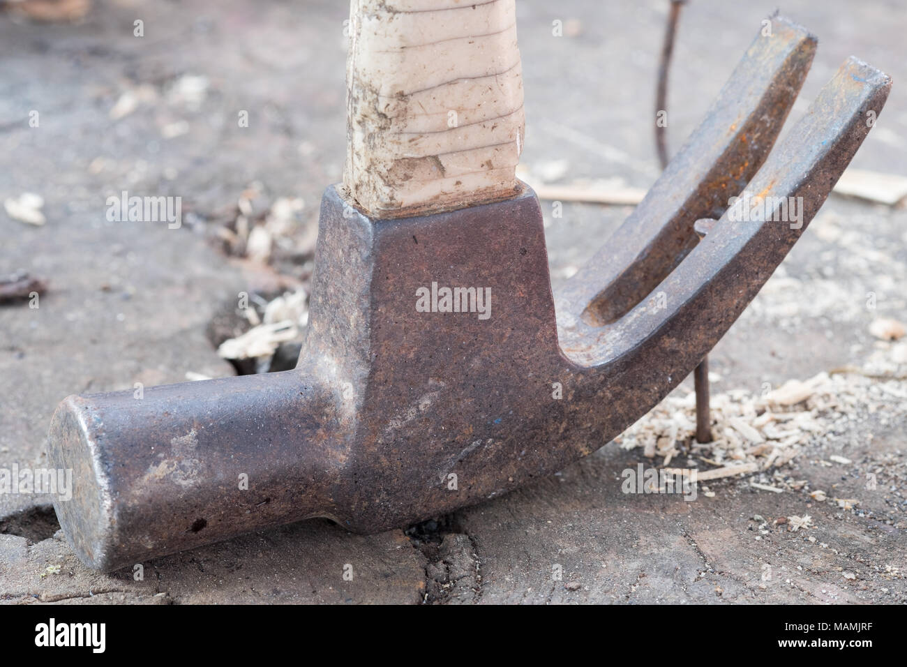 Hammer and nails Close Up Stock Photo - Alamy