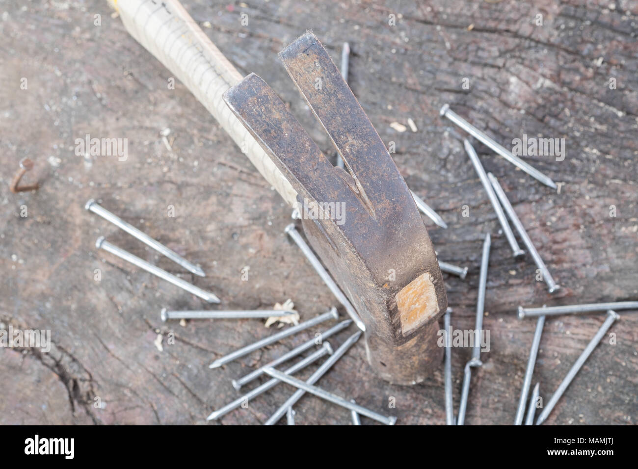 Hammer and nails Close Up Stock Photo - Alamy