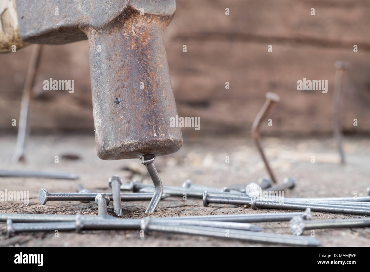 Hammer and nails Close Up Stock Photo - Alamy