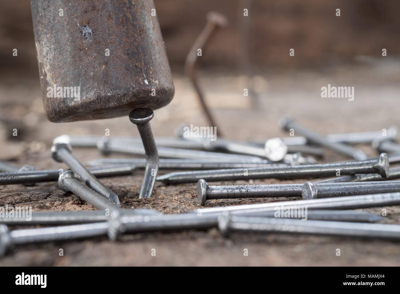 Hammer and nails Close Up Stock Photo - Alamy