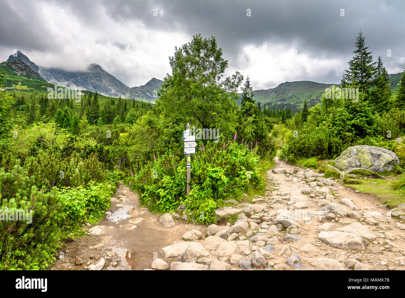 Landscape of mountain trails in nature, path in green mountains scenery ...
