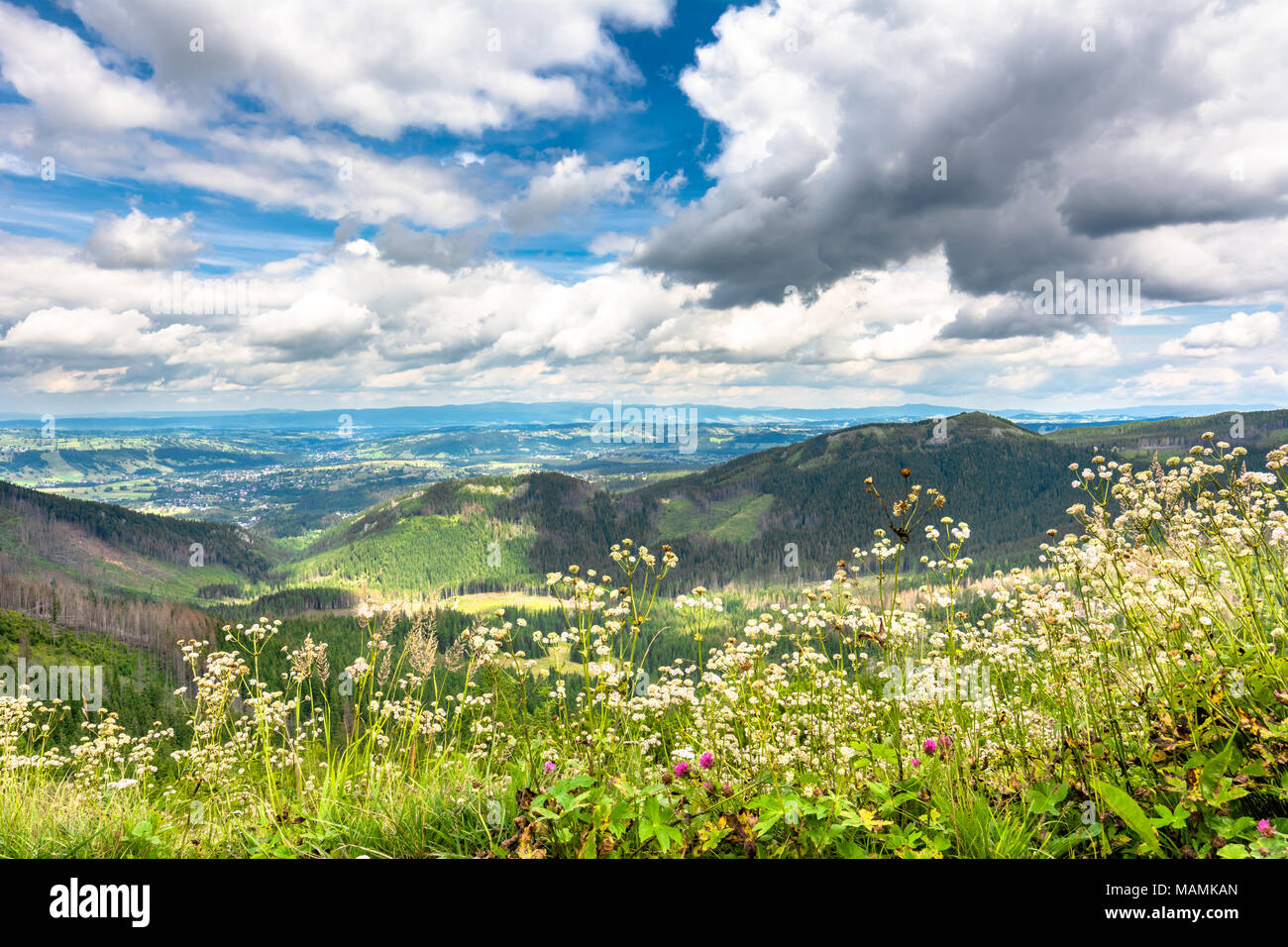 Landscape of mountain valley, panorama of city Zakopane from the hiking ...